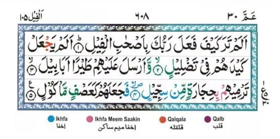 Surah Al Feel Read and Listen - Meri Web